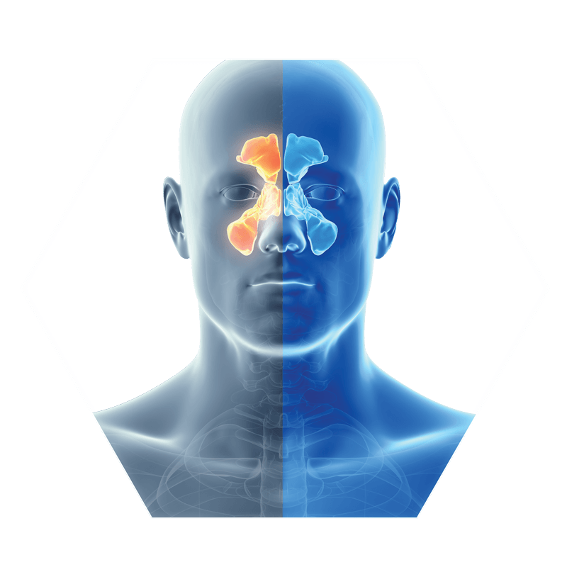 Levrix 24 hour Hayfever & Allergy Relief 2019 | Levrix