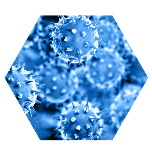 Levrix 24 hour Hayfever & Allergy Relief 2019 | Levrix